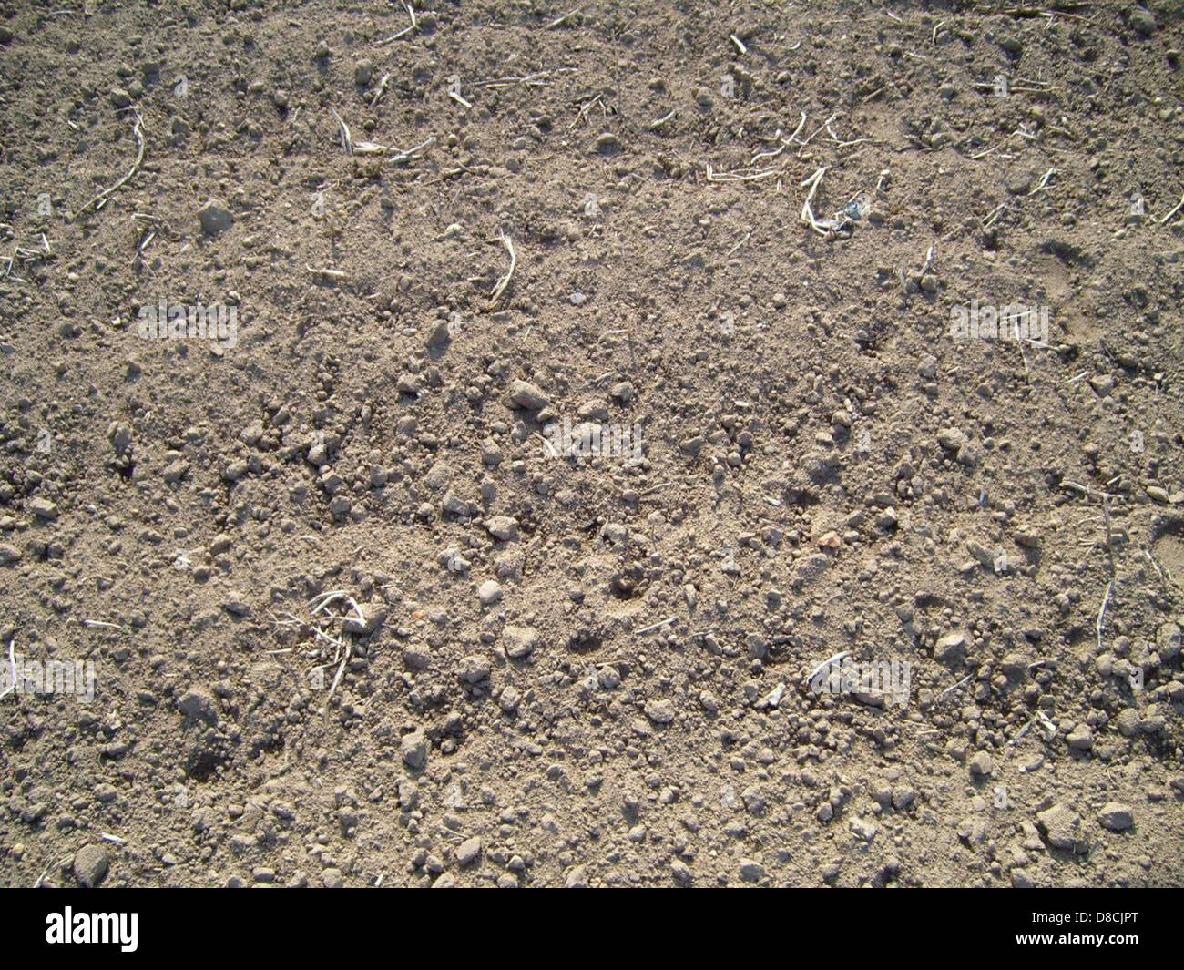 An abstract image displaying a natural earth pattern, with swirling ...