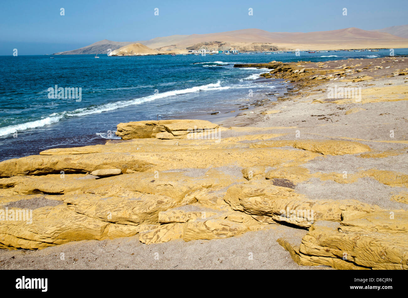 Paracas National reserve. Paracas peninsula Stock Photo - Alamy