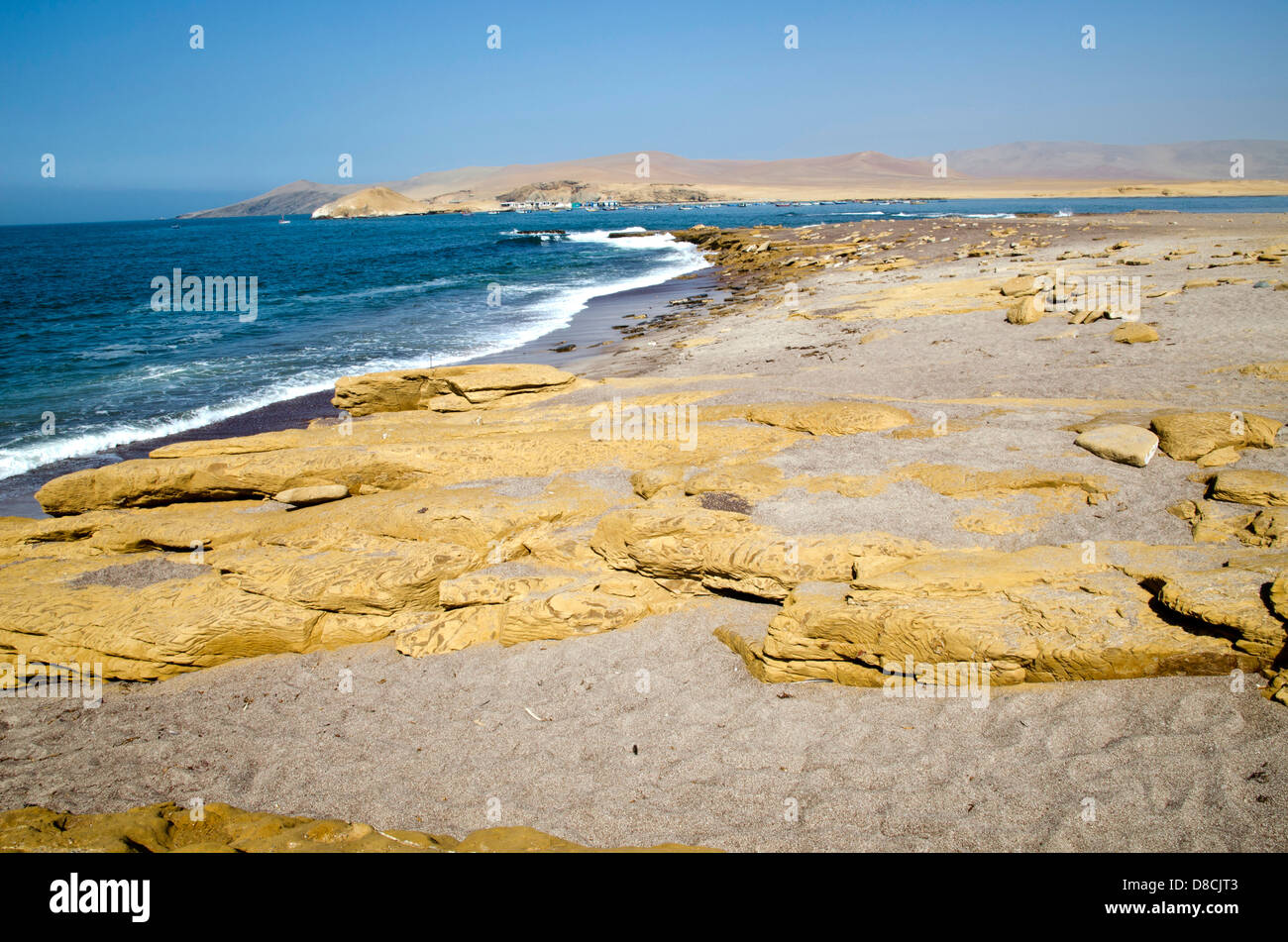 Paracas National reserve. Paracas peninsula Stock Photo - Alamy