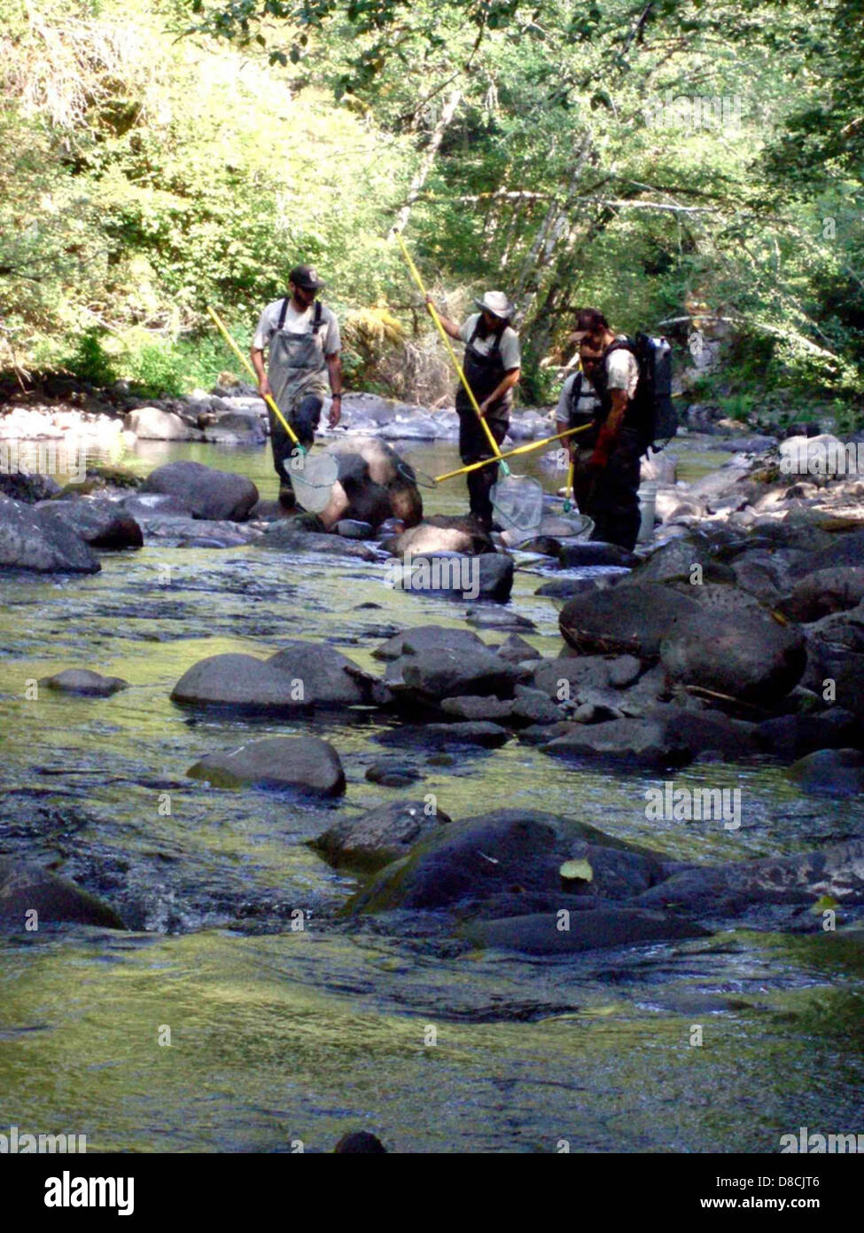 A fisherman uses electroshocking equipment to catch fish in a body of ...