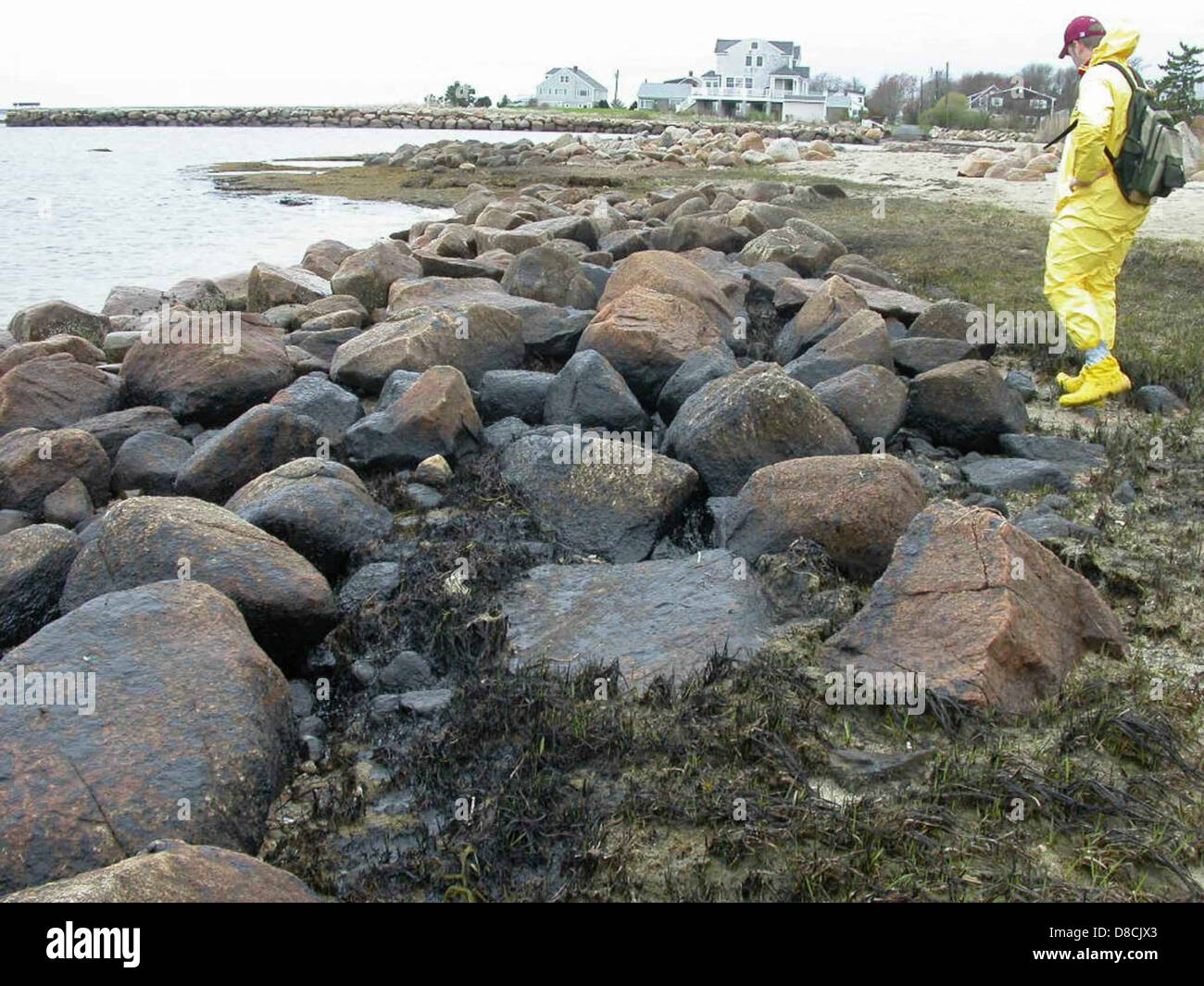 An employee works diligently to clean up an oil spill, focusing on ...