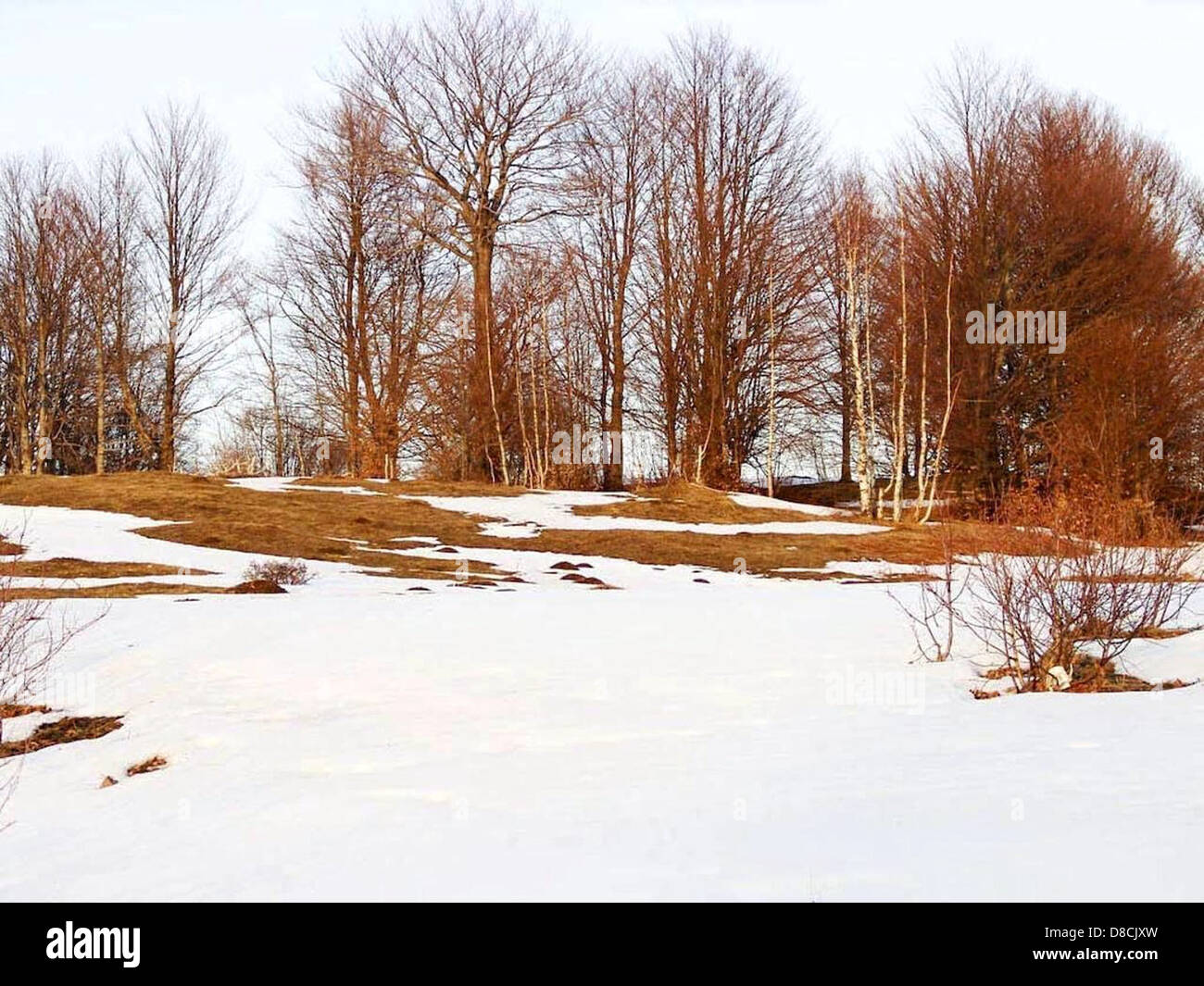 The image depicts the end of winter with signs of transitioning to ...