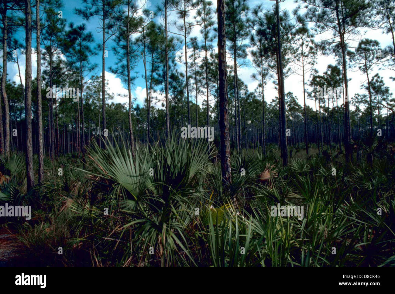 Everglades National Park, located in Florida, is known for its diverse ...