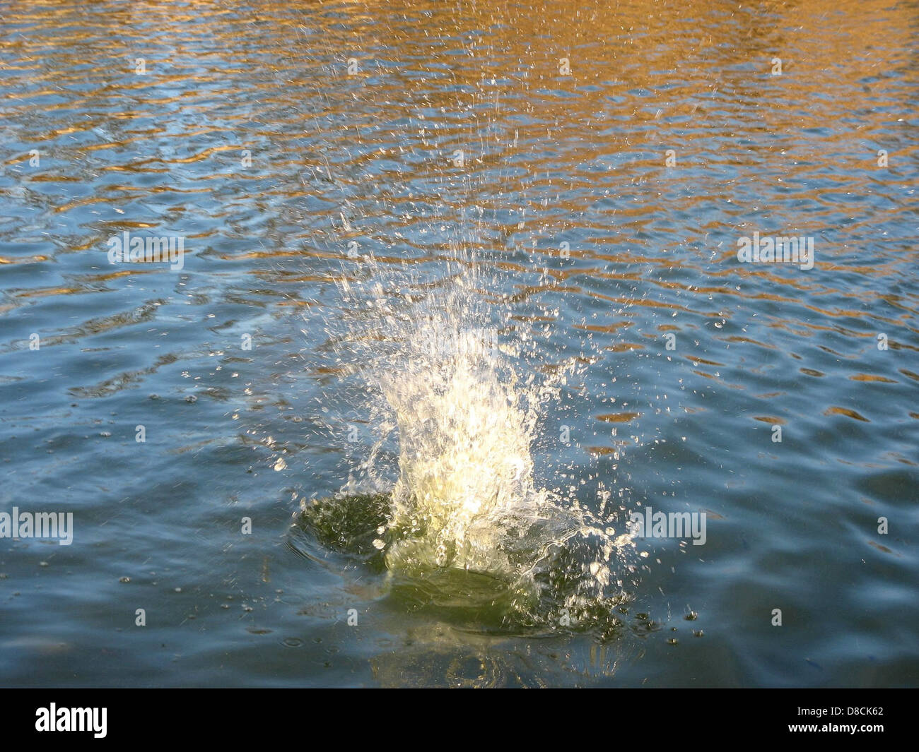 A person is captured mid-air, falling into a body of water. The moment ...