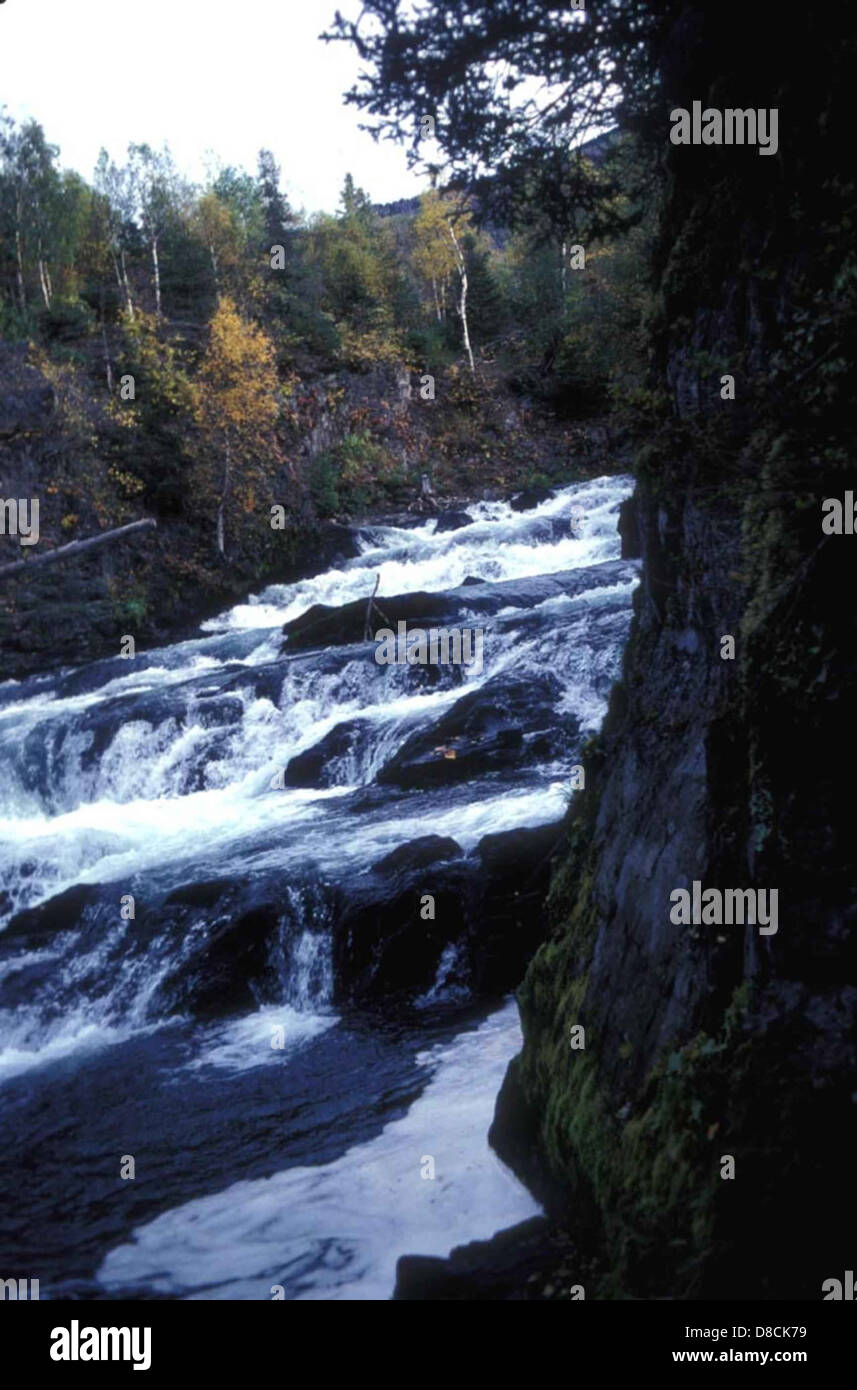 A dynamic image of a river with fast-moving water cascading over rocks ...