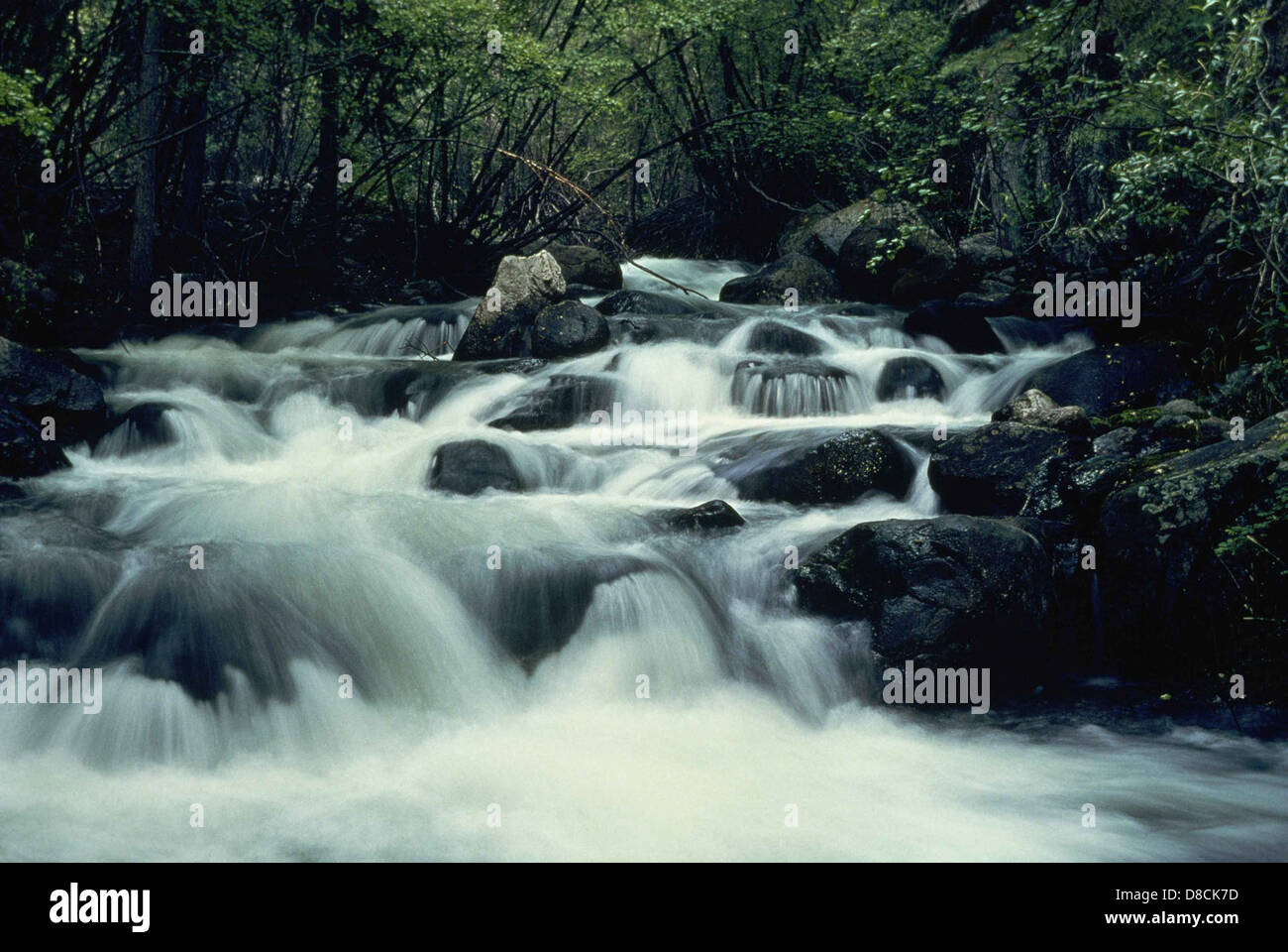 A fast-moving mountain river flows over rocks, forming a misty ...