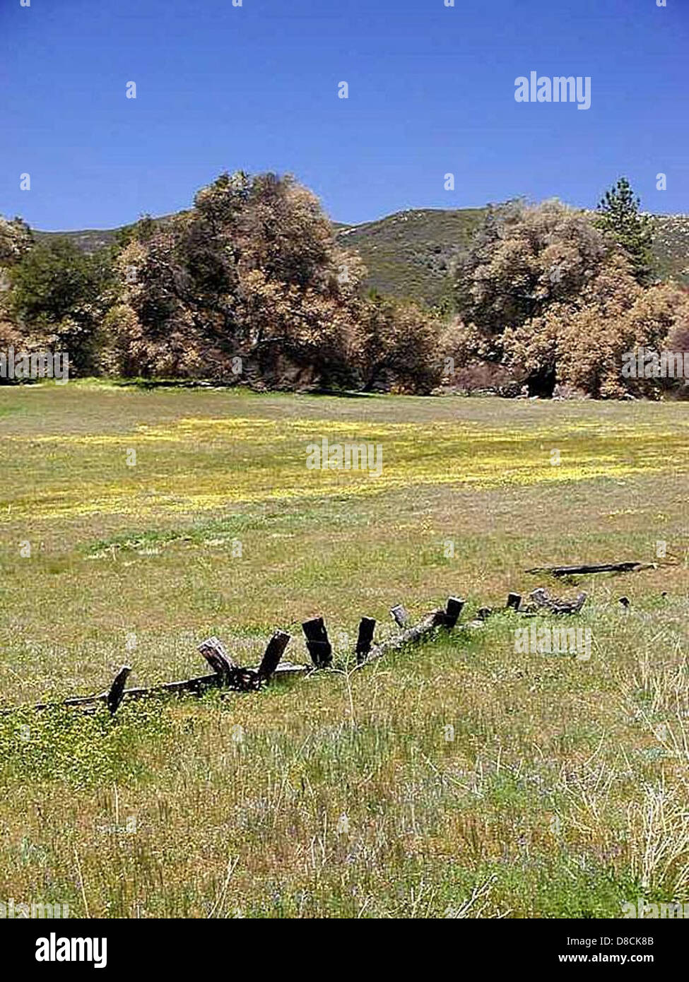A scenic rural landscape featuring fences, fields, meadows, and trees ...