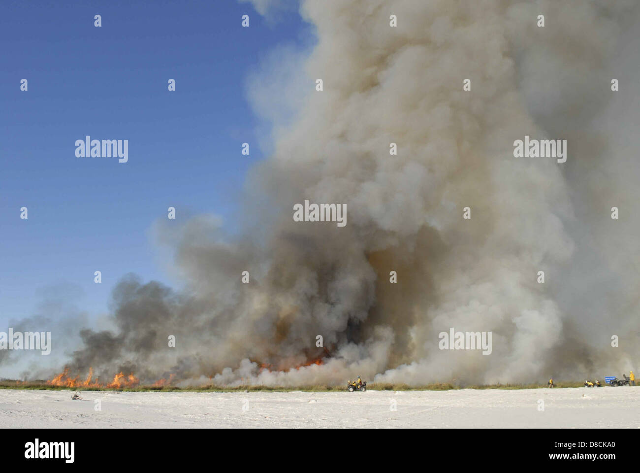 Firefighters work in the field to combat summer wildfires, displaying ...