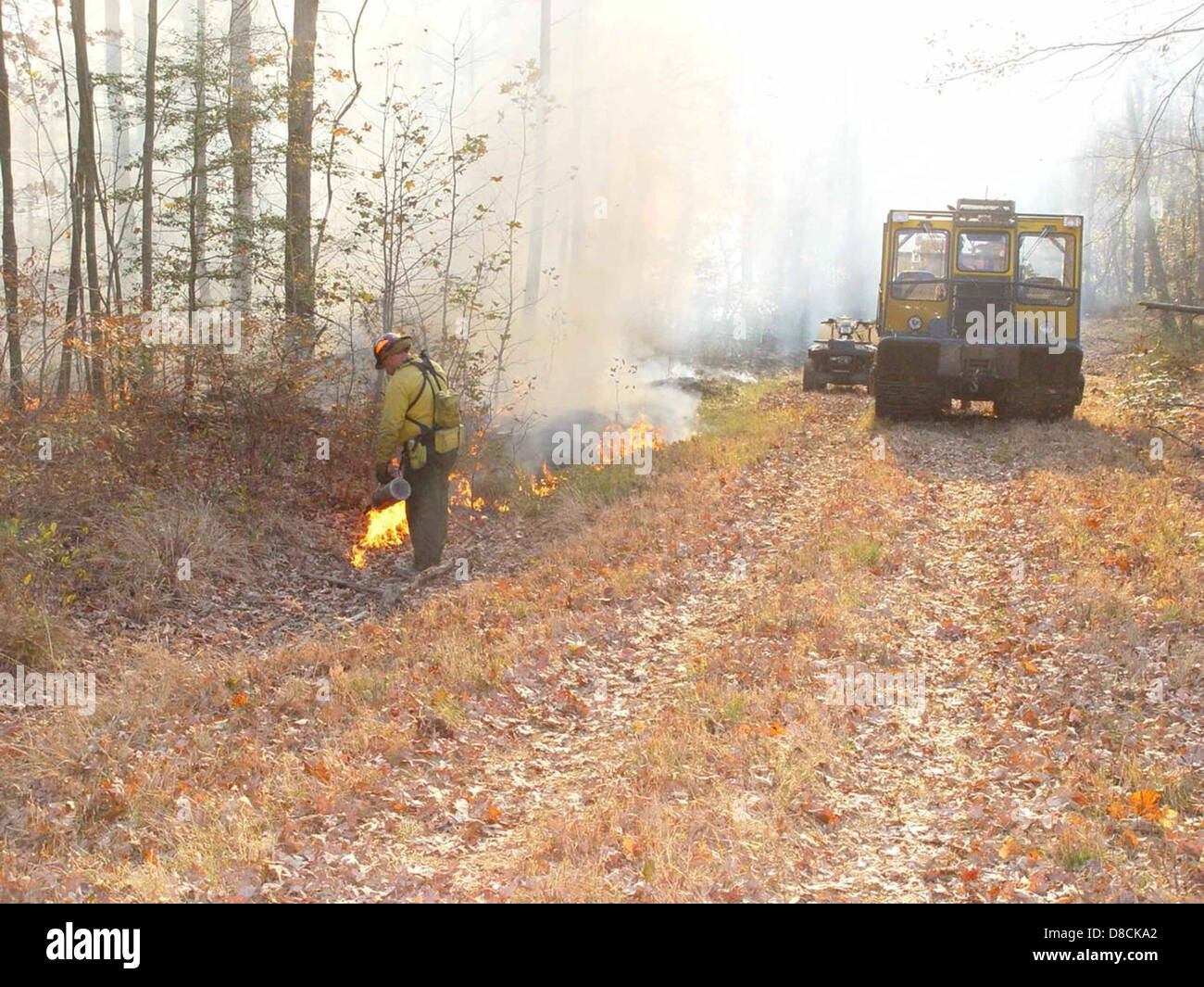Firefighters used heavy machinery in a controlled fire Stock Photo - Alamy