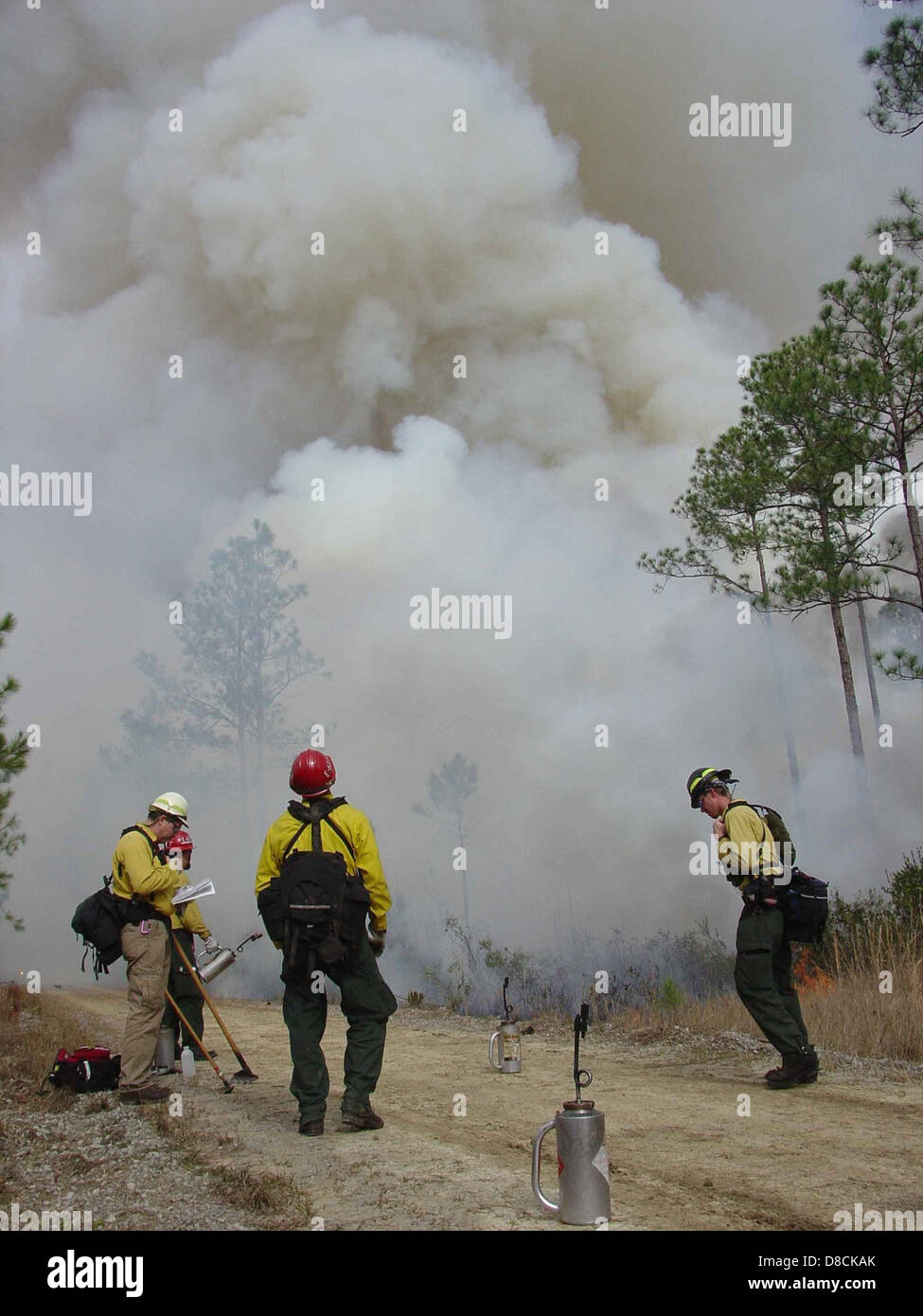 Firefighters participating in prescribed fire training, learning ...