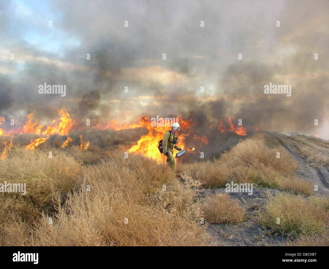 A fireman monitors controlled field burning as part of land management ...