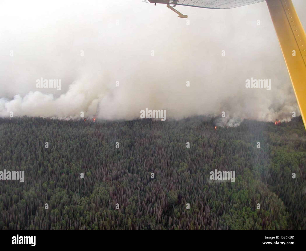 A large forest fire burning through a wooded area, with flames and ...