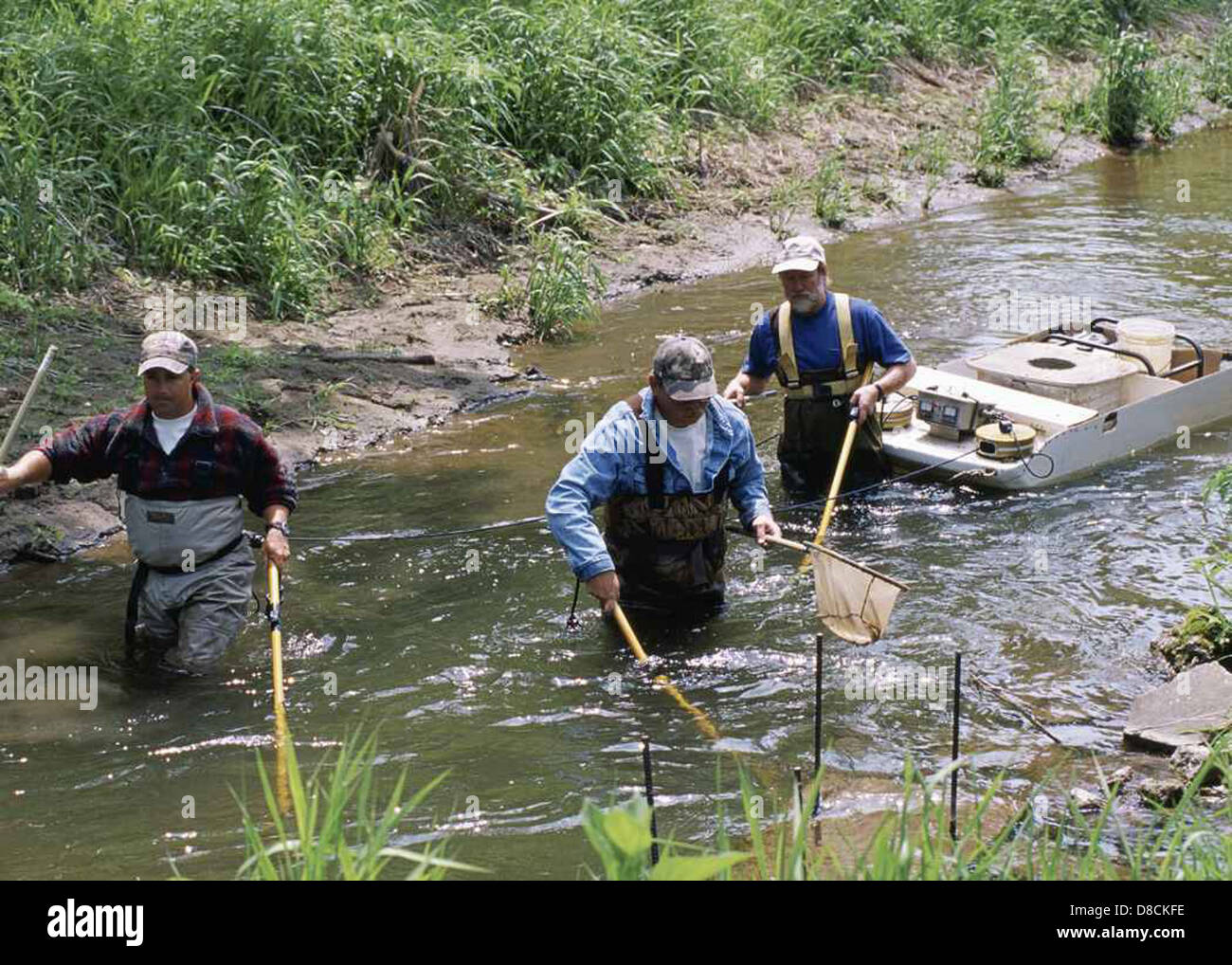 This image depicts fishermen using electric-powered equipment to fish ...