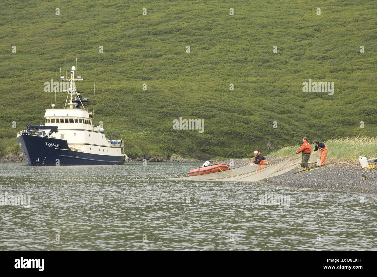This image shows a fisherman pulling a net from a boat along the coast ...