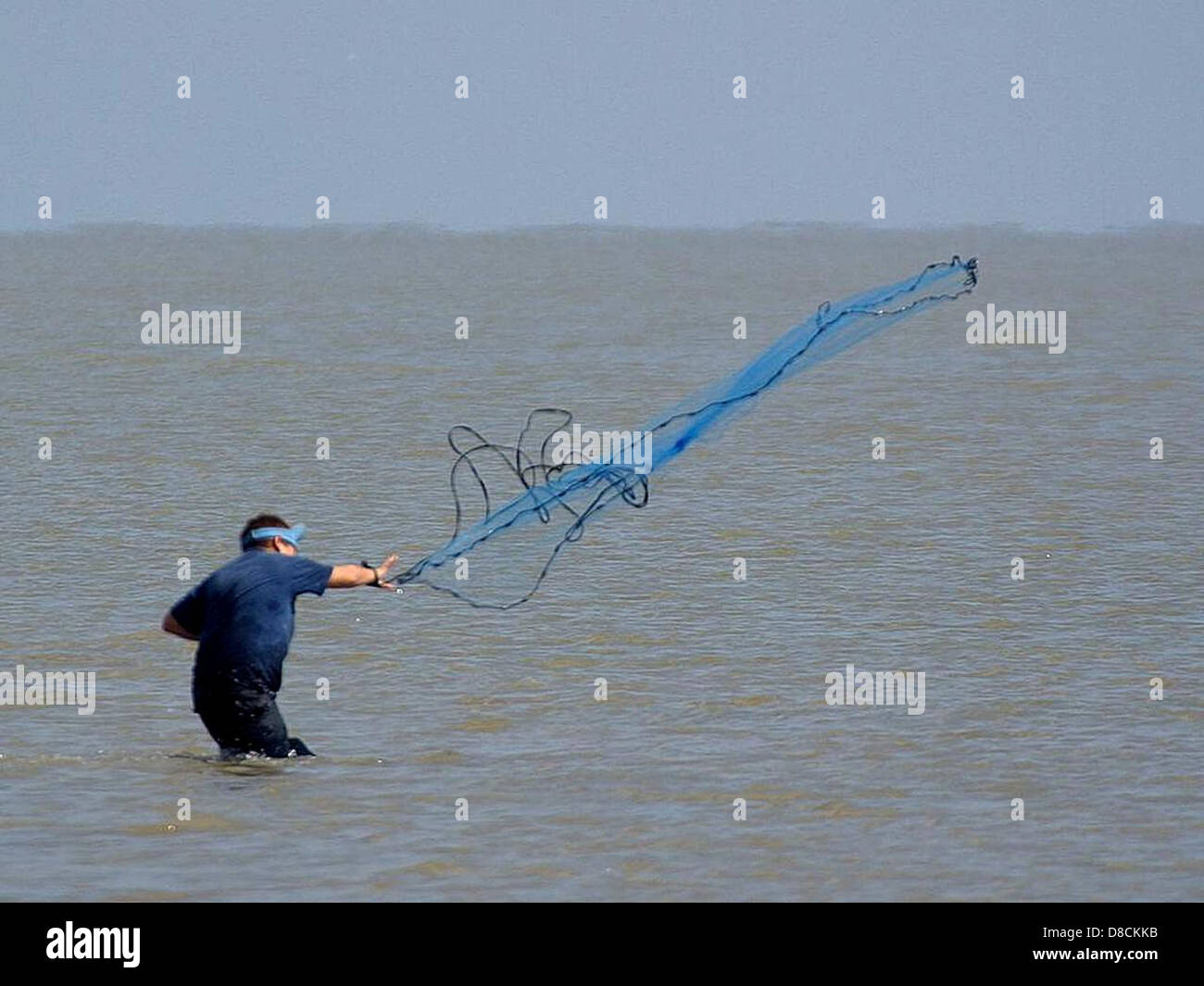 A person is fishing using a net, capturing fish from the water. This ...