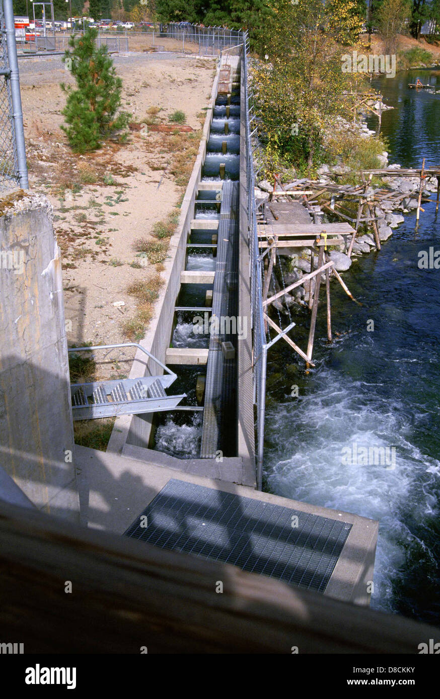 A fish ladder is shown at a dam, providing a pathway for migrating fish ...