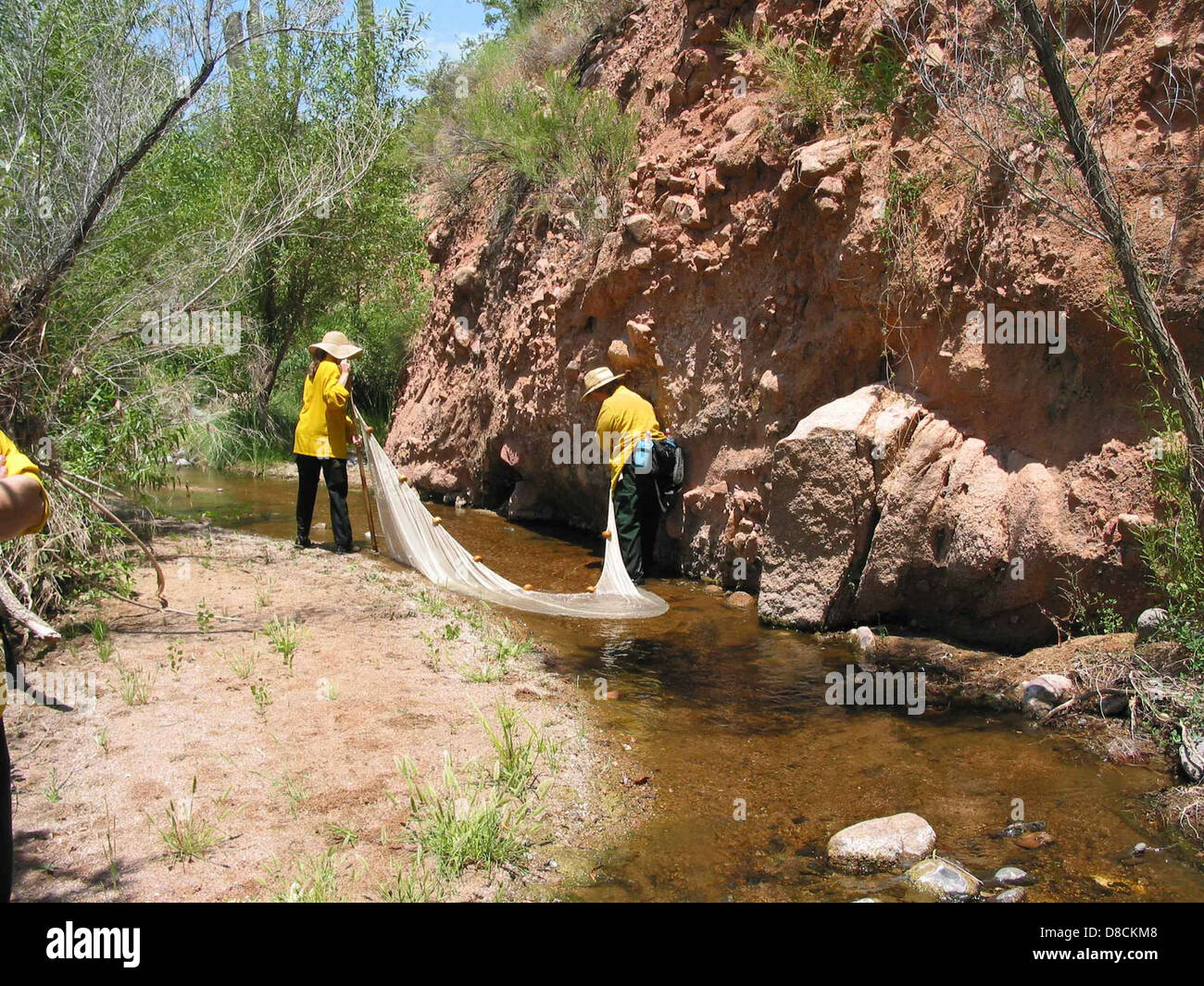 Rescuers helping fish during the Cave Creek Complex fire, ensuring ...