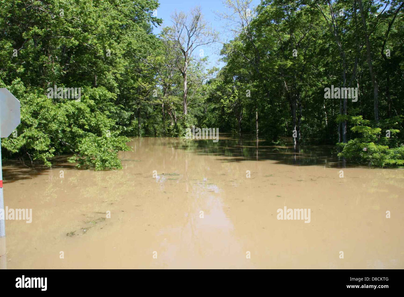 Floodwaters cover a wooded area, showing the impact of heavy rain on ...