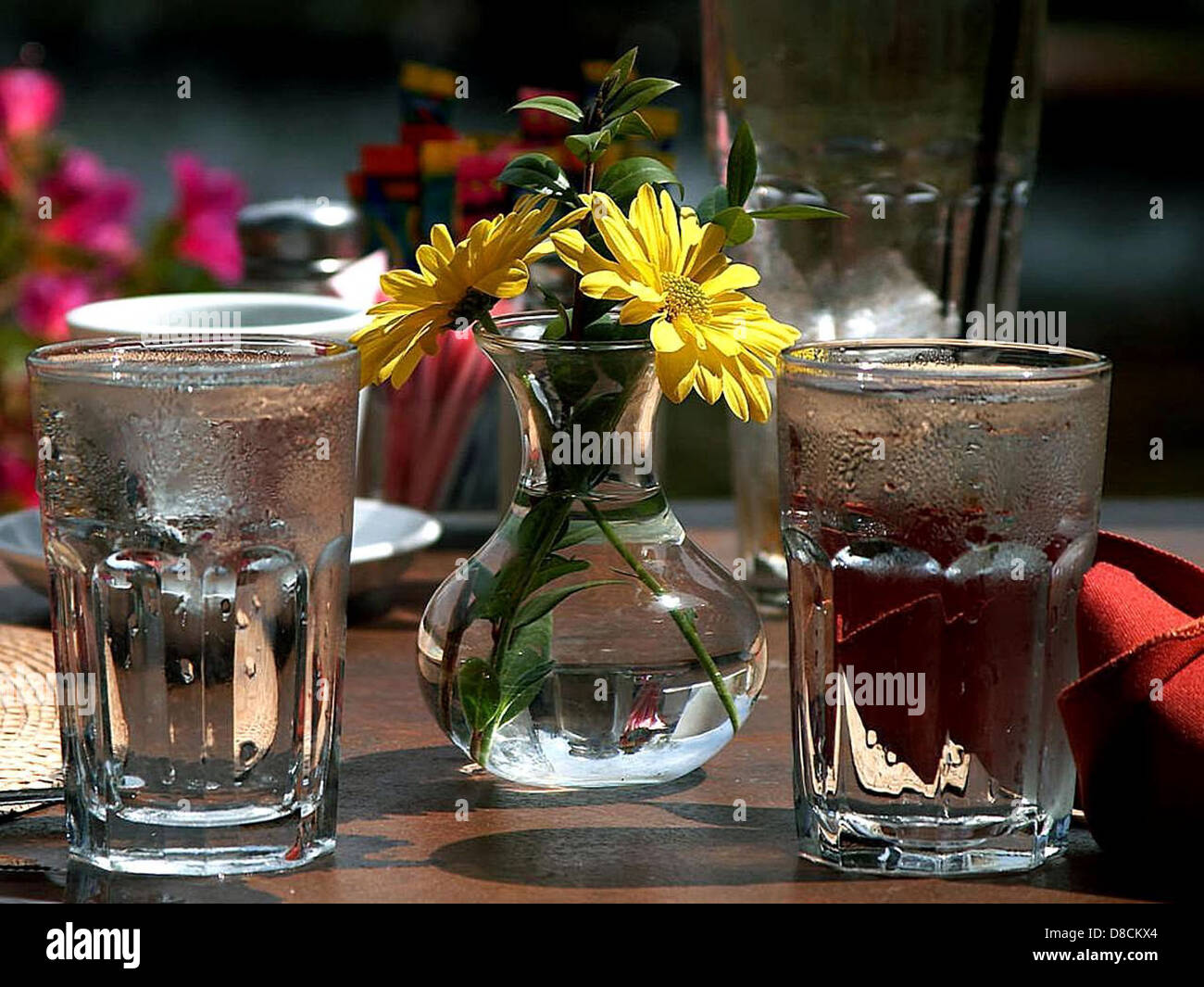 A refreshing scene showing flowers floating in ice water. The image ...