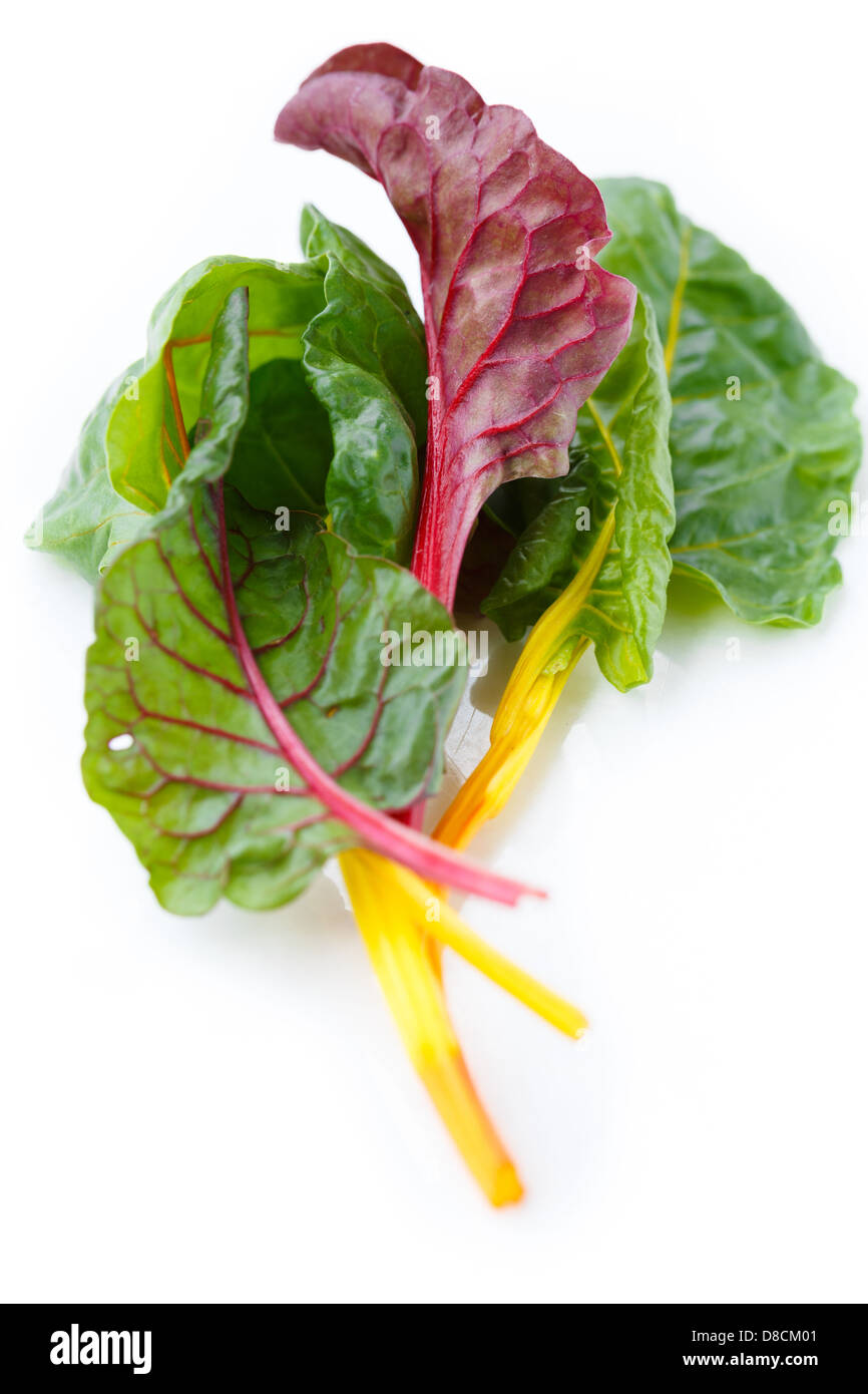 Rainbow Swiss chard on white background Stock Photo - Alamy