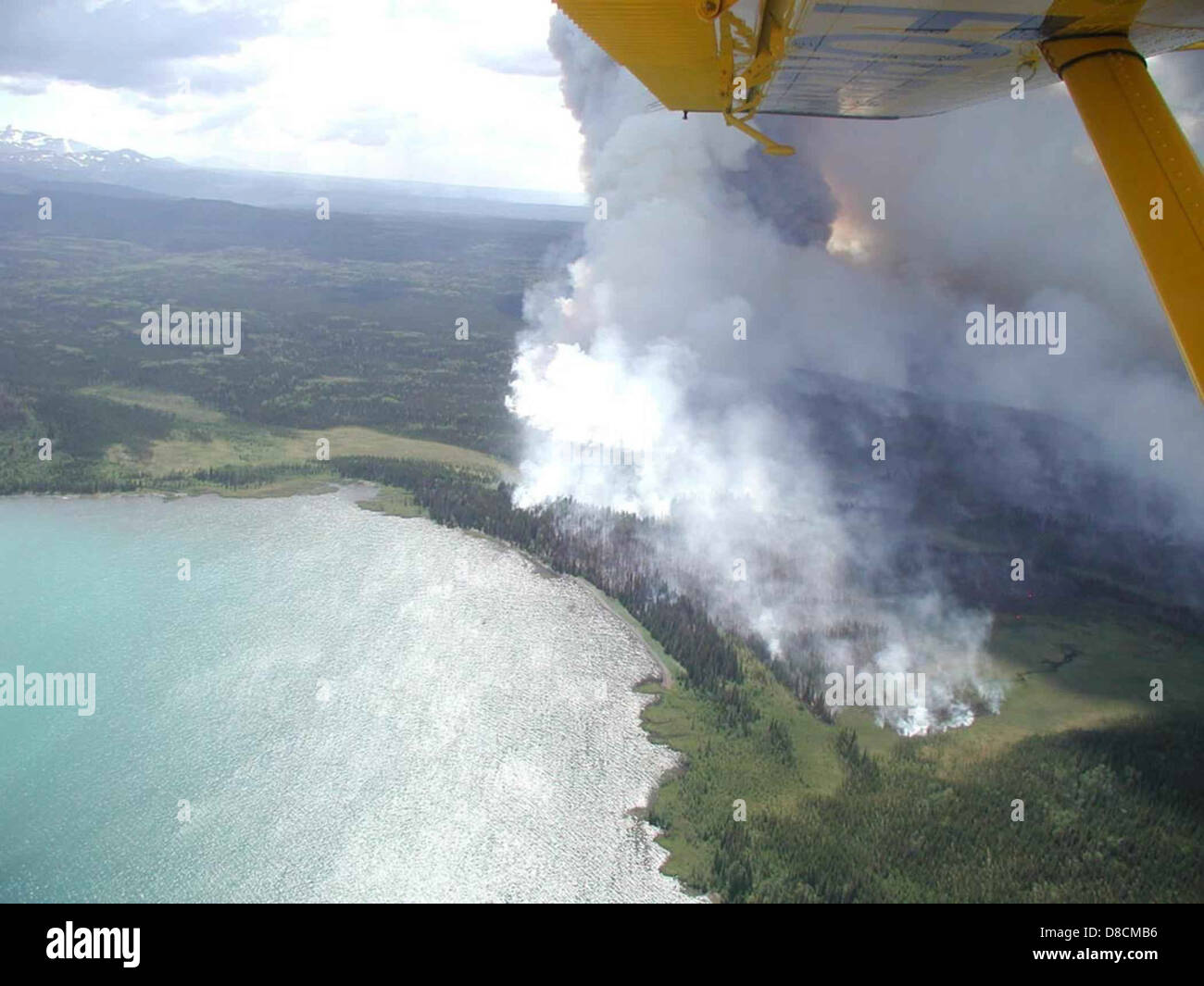 An aerial view from a plane flying over a forest fire, capturing the ...
