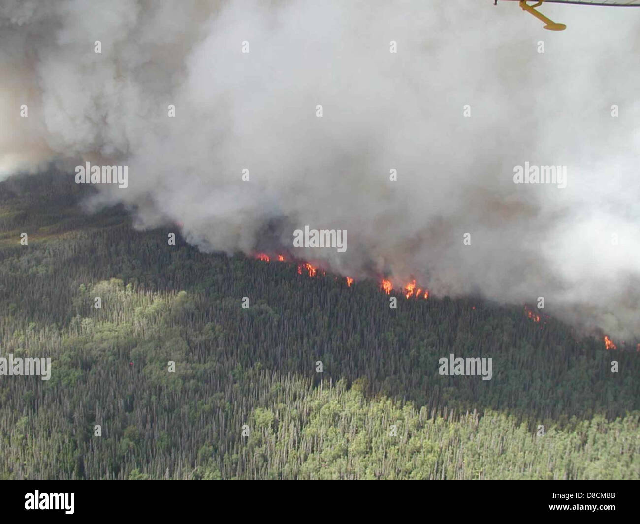 An aerial view captures a forest fire burning through a forested area ...