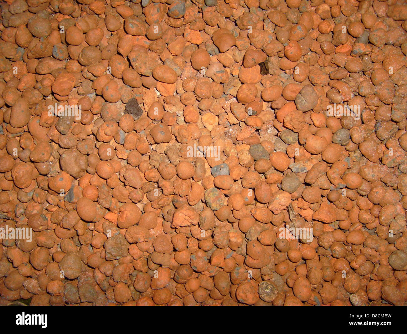 Foamed clay, a lightweight and porous material, is shown in close-up ...