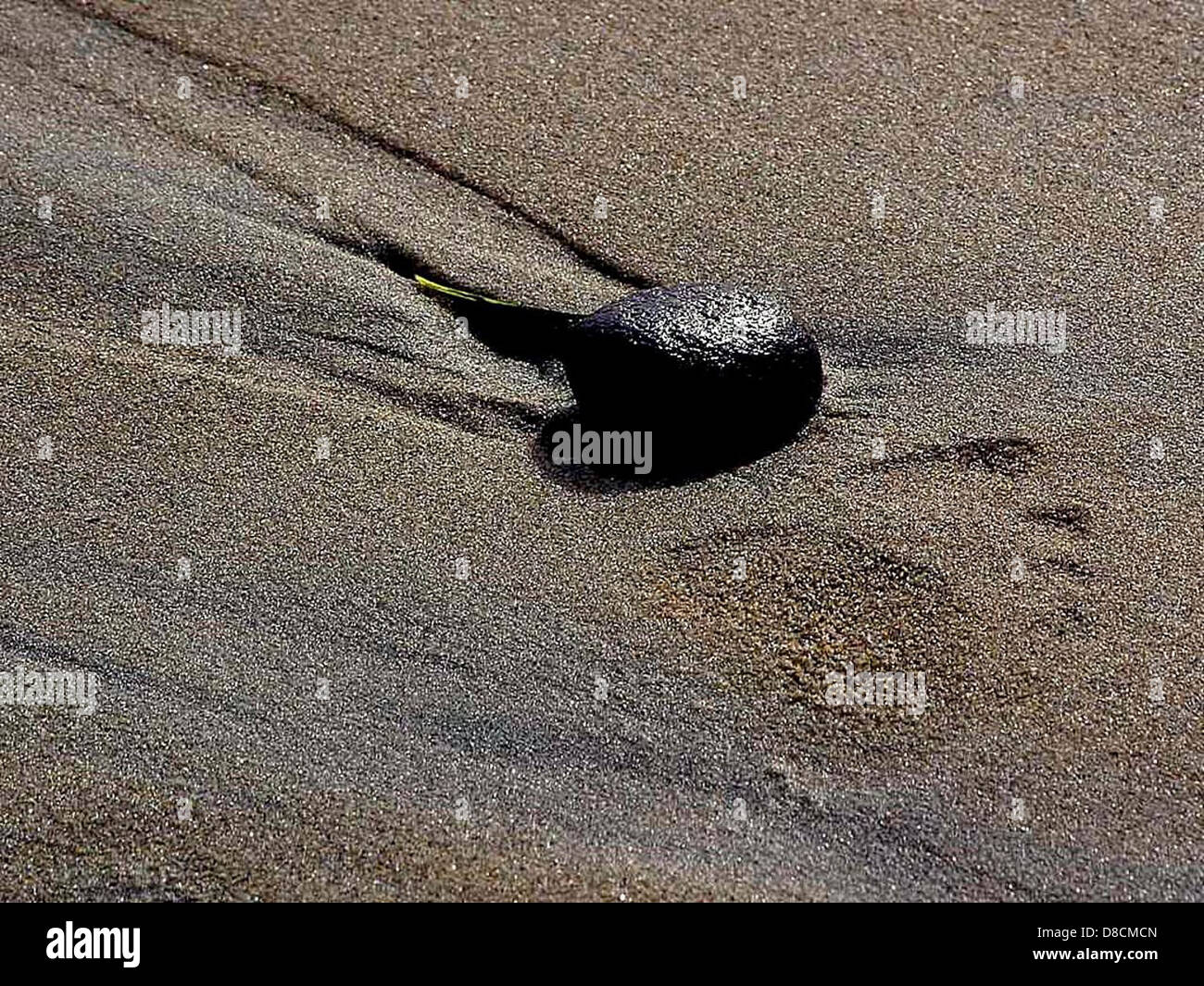 A single footprint is visible in the sand of an ocean beach, left ...
