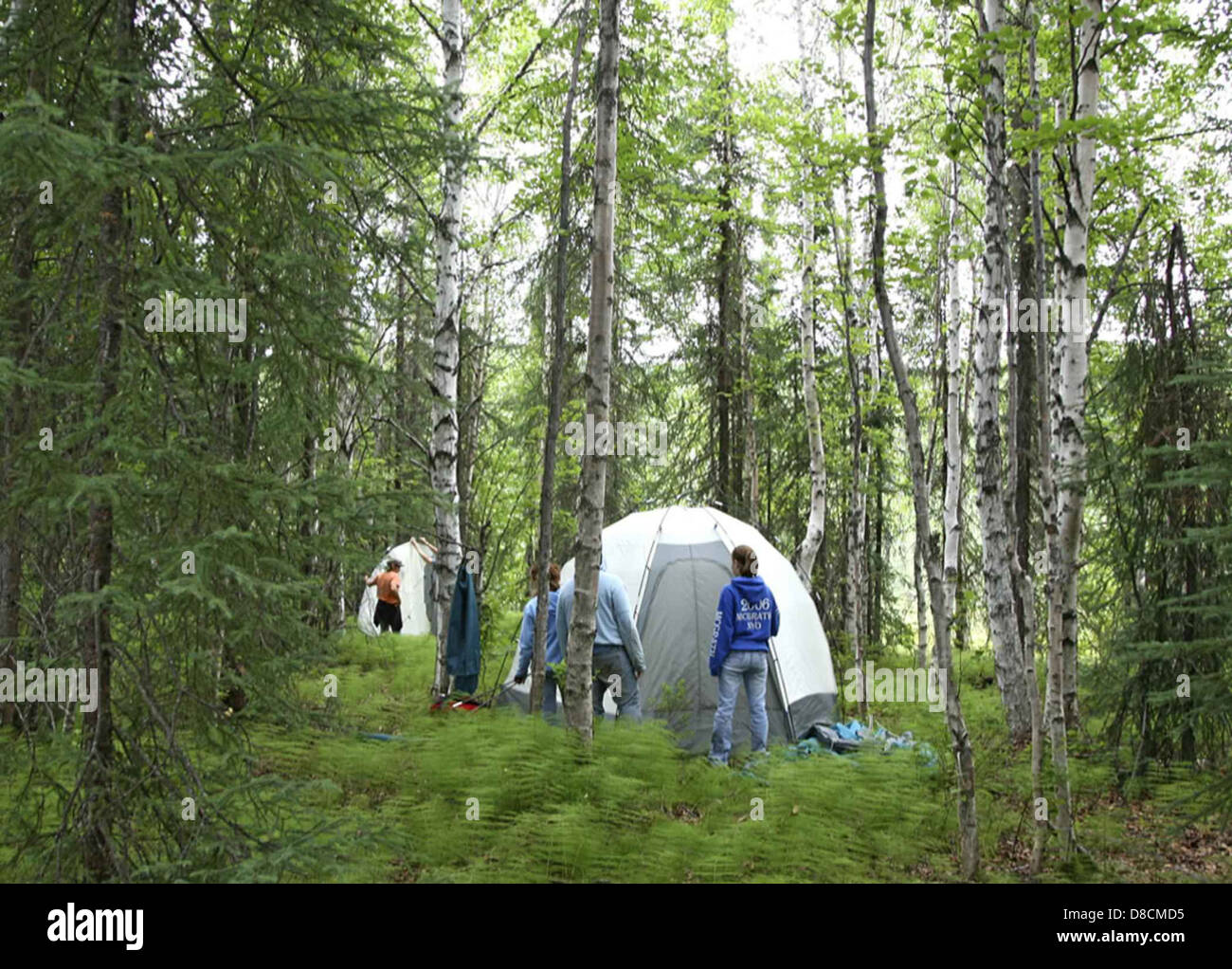 A science camp set up in a forest environment, where researchers and ...