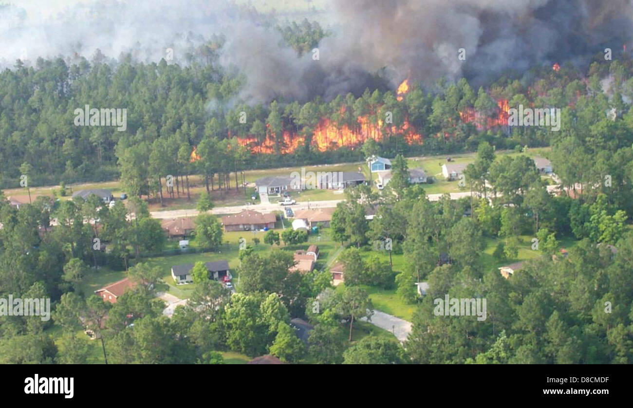 A dramatic scene of a forest fire spreading near residential houses ...