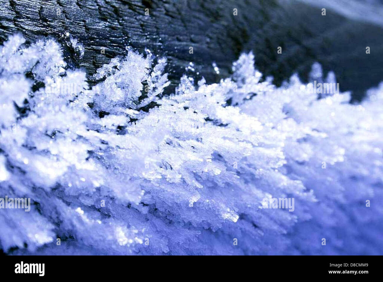 Showing delicate structures hi-res stock photography and images - Alamy