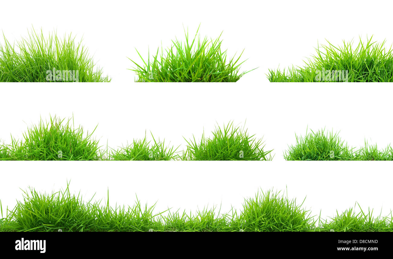 Grass lawn environment hi-res stock photography and images - Alamy