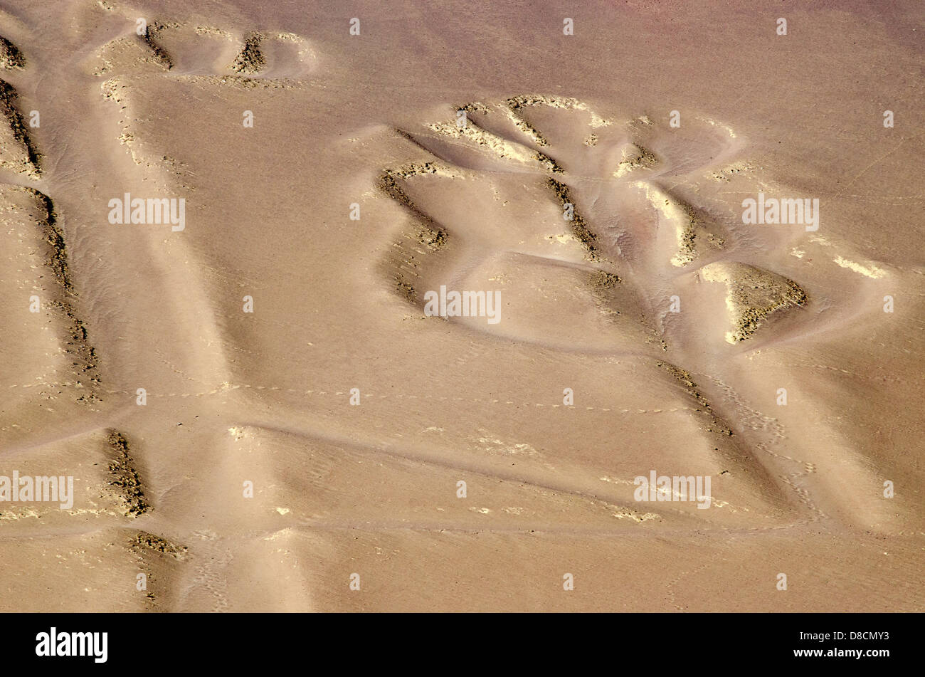 Paracas National Reserve. Paracas Candelabro geoglyph. Paracas culture ...