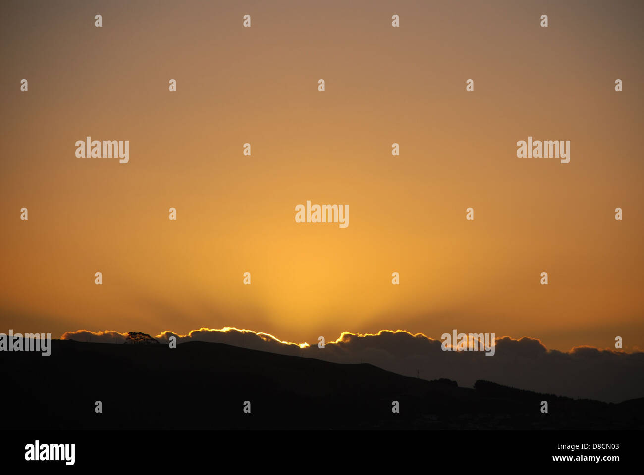 Golden sunset (1 Stock Photo - Alamy