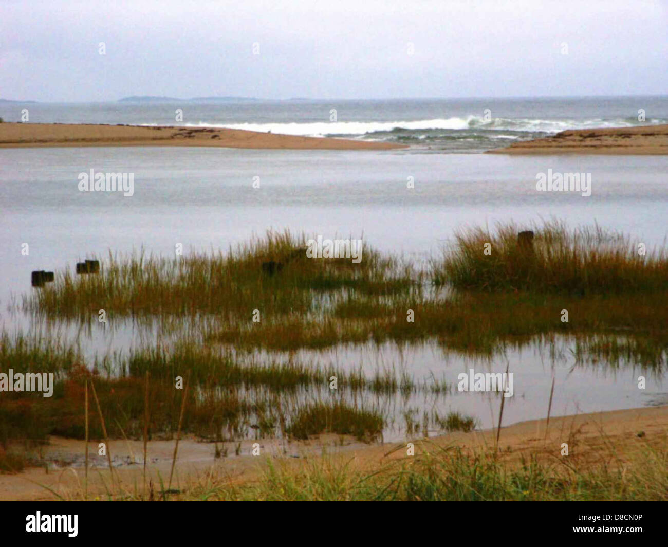 Goosefare Creek, located in a swampy area, showcases a wetland ...