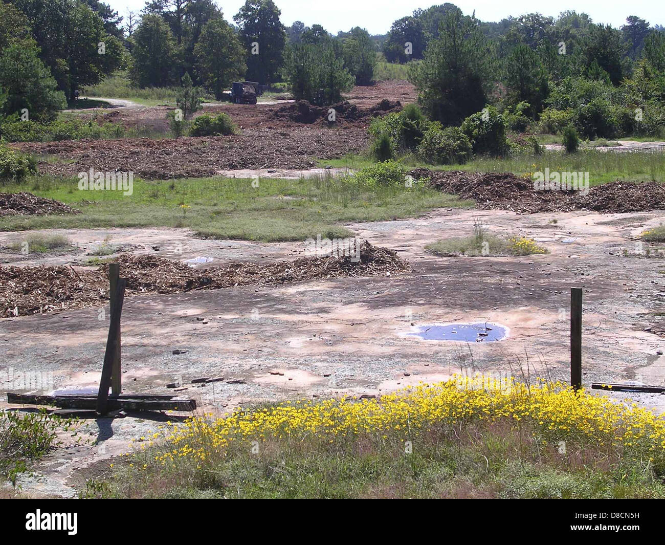 A scenic view of a granite outcrop habitat, where rugged rock ...