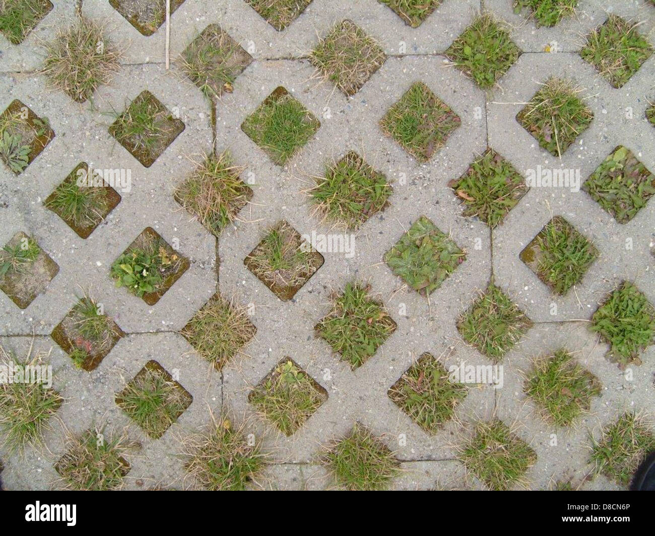 Grass paver paving Stock Photo - Alamy