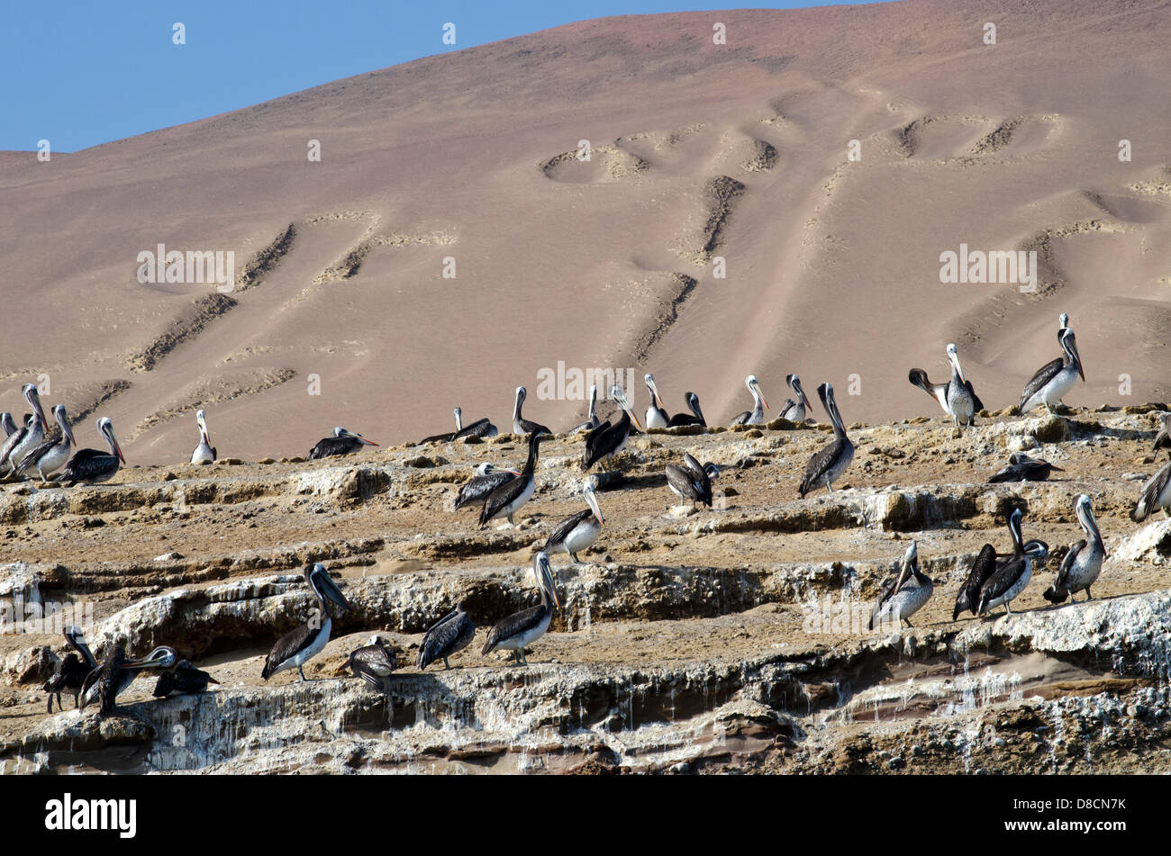 Paracas National Reserve. Paracas Candelabro geoglyph. Paracas culture ...