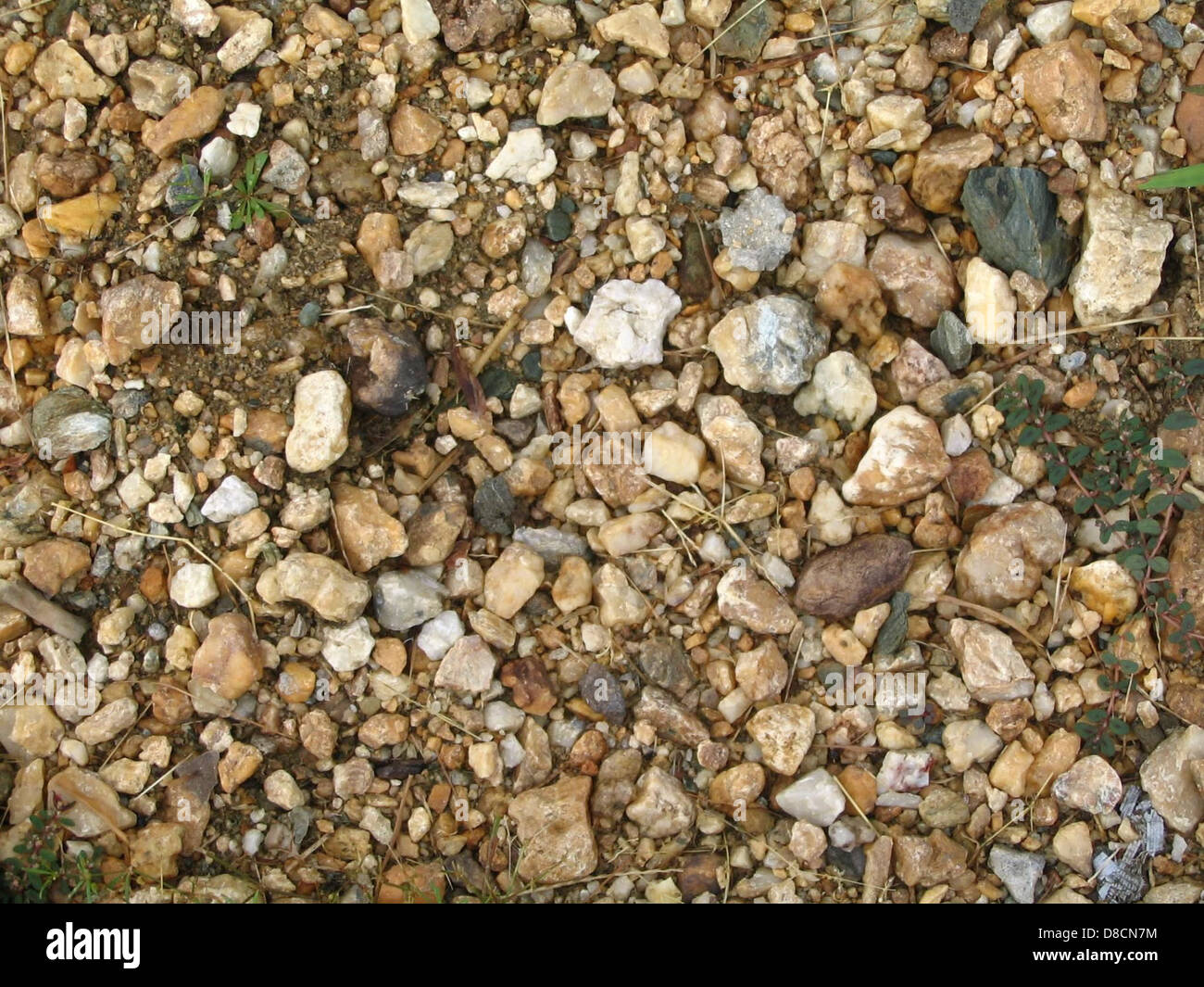 A close-up of gravel showing small stones and pebbles. This natural ...