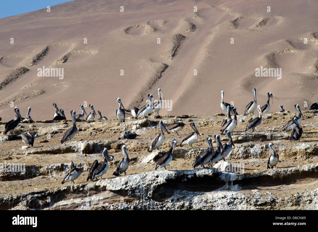 Paracas National Reserve. Paracas Candelabro geoglyph. Paracas culture ...
