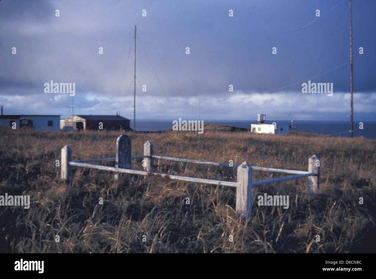 A quiet grave site at Izembek, with a simple stone marker surrounded by ...