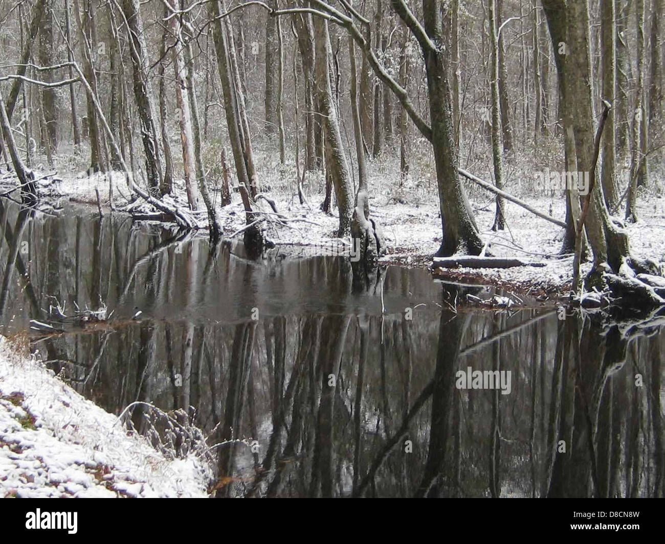 Great dismal swamp wildlife refuge hi-res stock photography and images ...