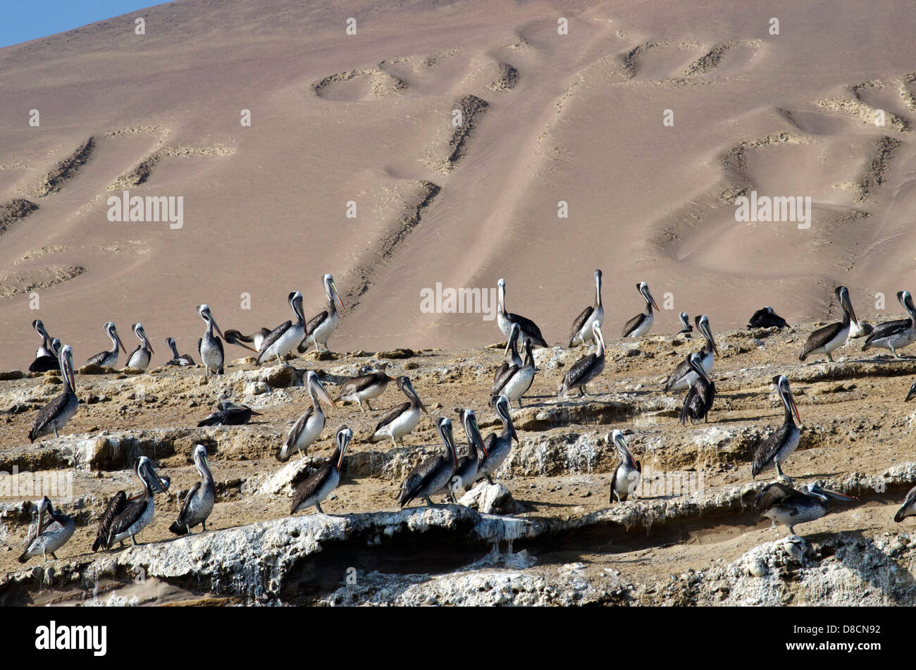 Paracas National Reserve. Paracas Candelabro geoglyph. Paracas culture ...