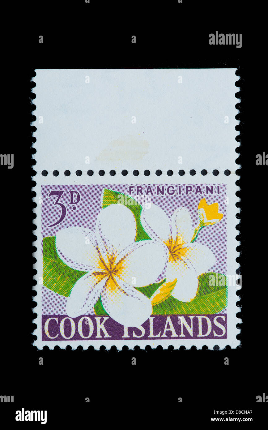 The frangipani flower in a stamp of cook islands Stock Photo - Alamy