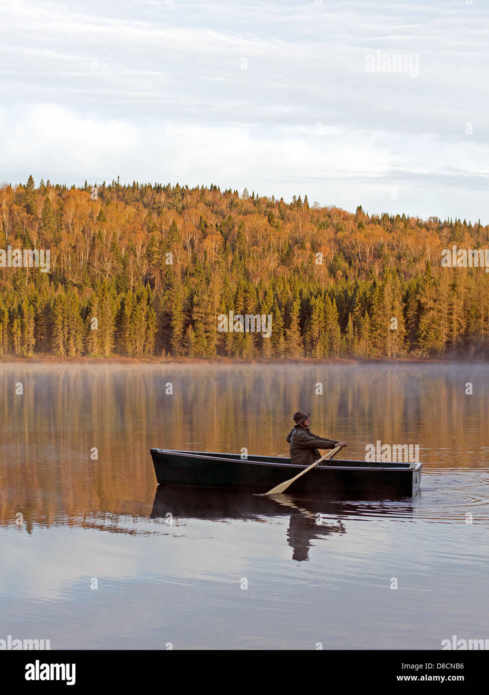 Beautiful rowing boat hi-res stock photography and images - Alamy