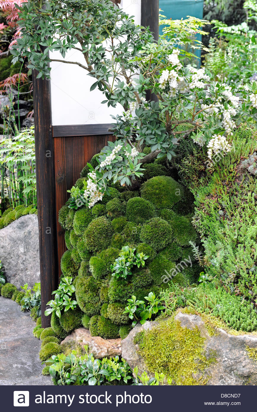 Alcove Stock Photos & Alcove Stock Images - Alamy