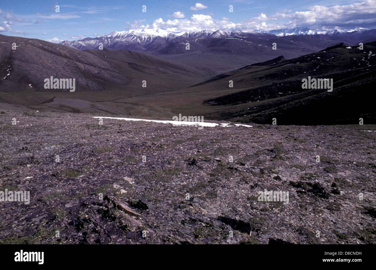 Green valley scenics Stock Photo - Alamy