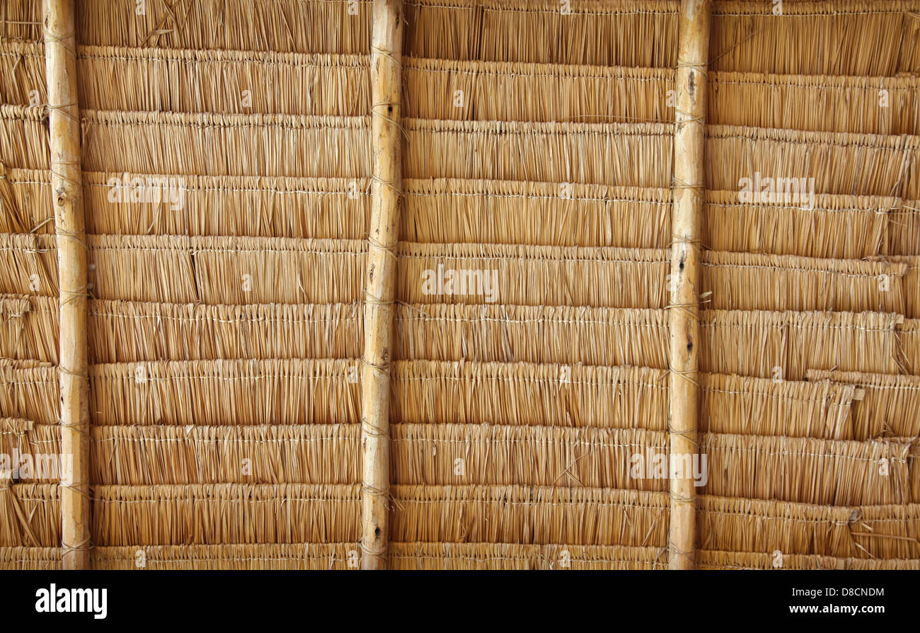 Thatch grass hi-res stock photography and images - Alamy