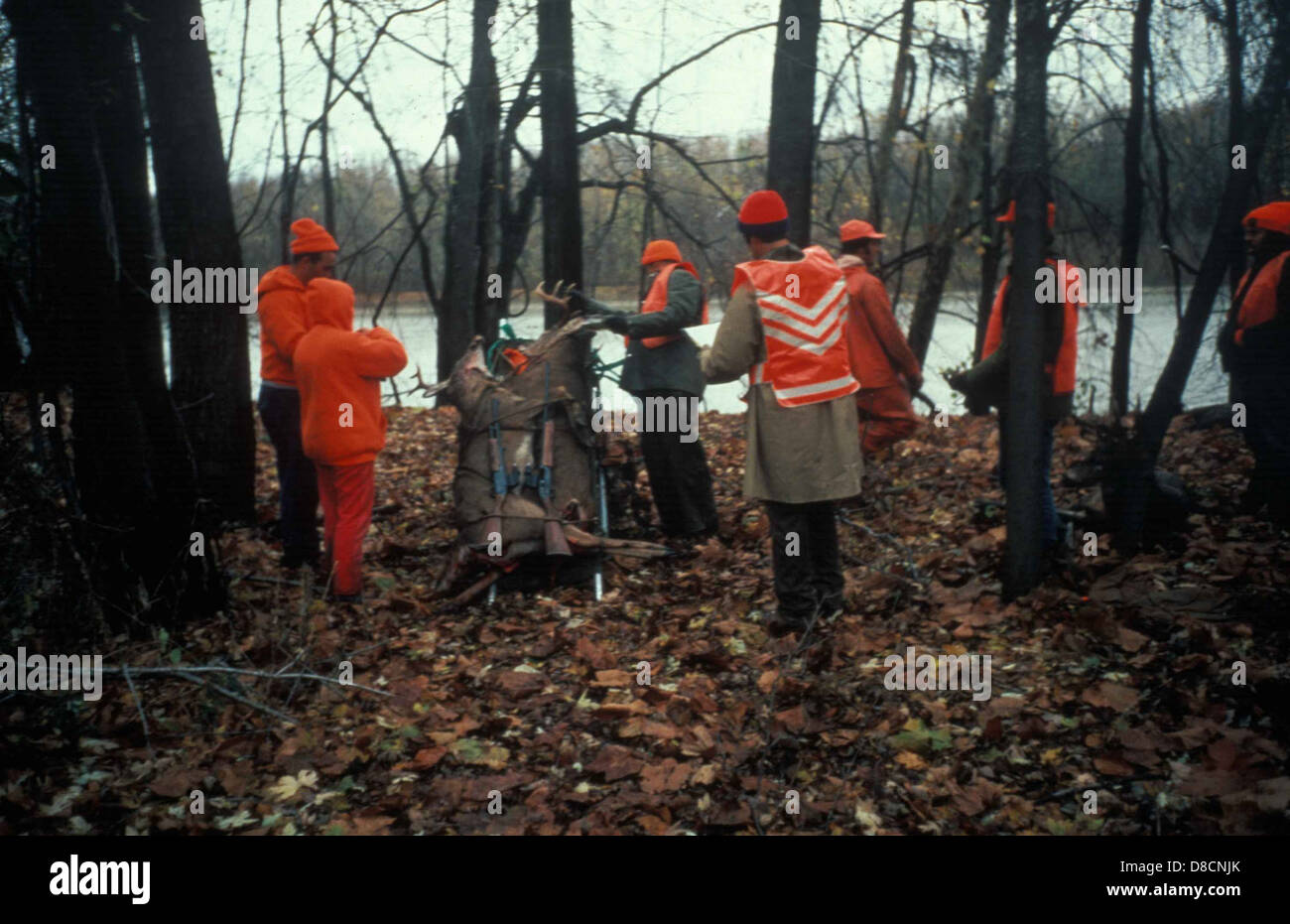 Group of hunters in forest Stock Photo - Alamy