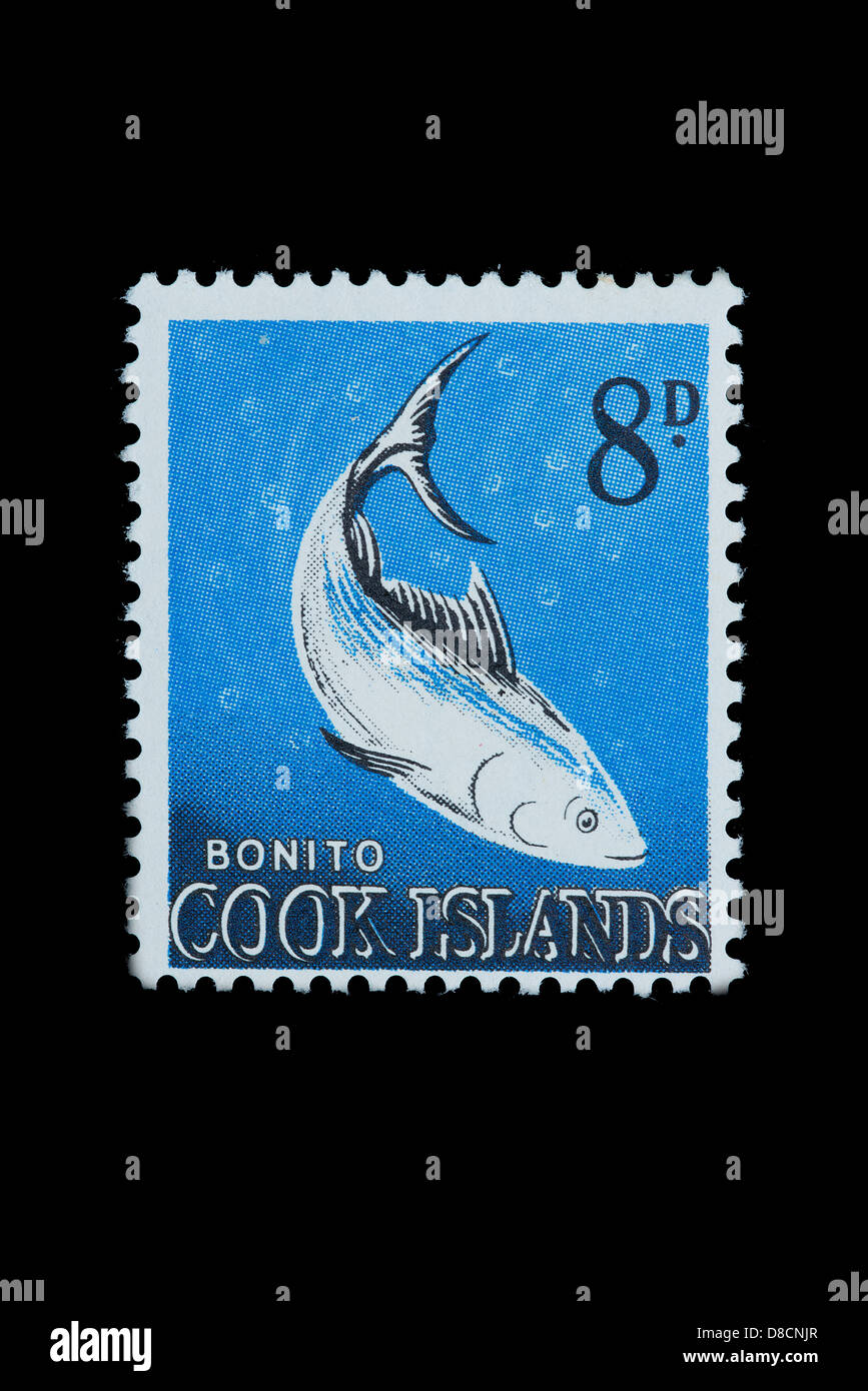 Cook Islands Fish High Resolution Stock Photography and Images - Alamy
